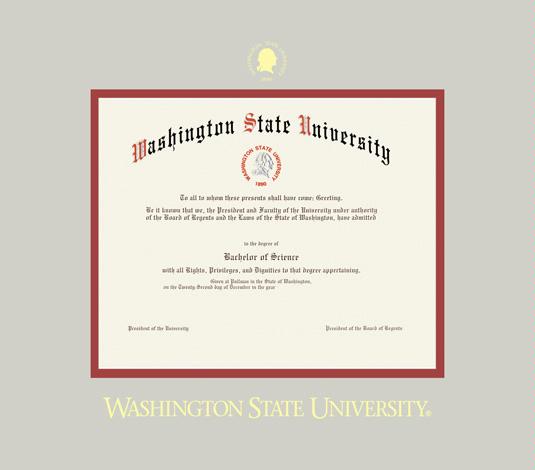 Custom Diploma Frames & Certificate Frames - Framing Success ...