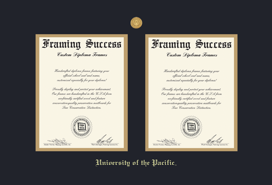 Custom Diploma Frames & Certificate Frames - Framing Success: Black and ...
