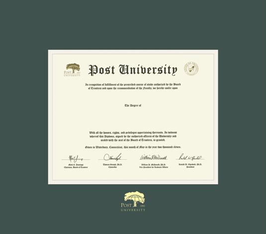 Custom Diploma Frames & Certificate Frames - Framing Success: Post ...