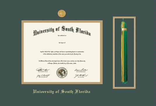 Custom Diploma Frames & Certificate Frames - Framing Success: U of ...