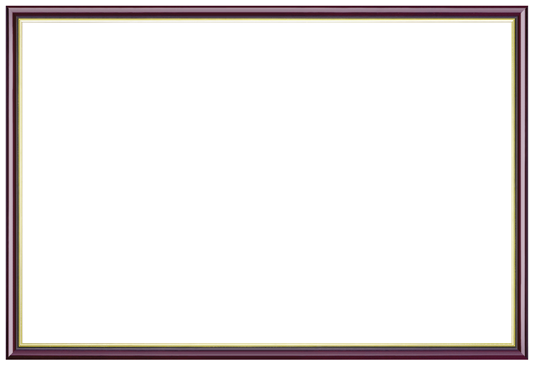 Custom Diploma Frames & Certificate Frames - Framing Success: Kansas ...