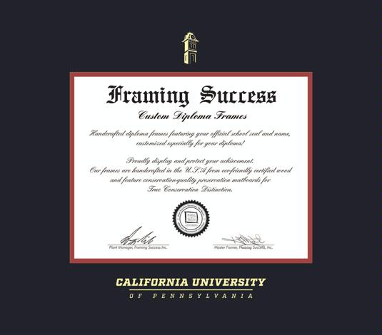 Custom Diploma Frames & Certificate Frames - Framing Success ...