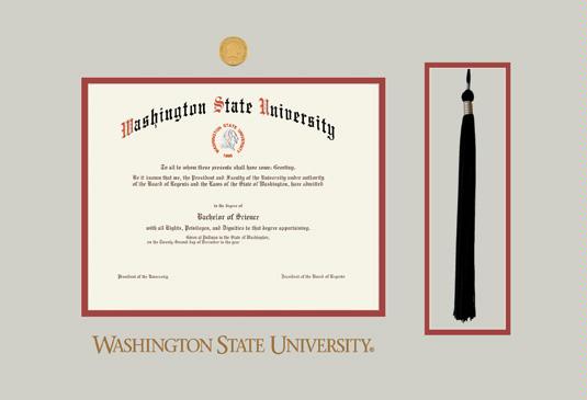 Custom Diploma Frames & Certificate Frames - Framing Success: WSU ...